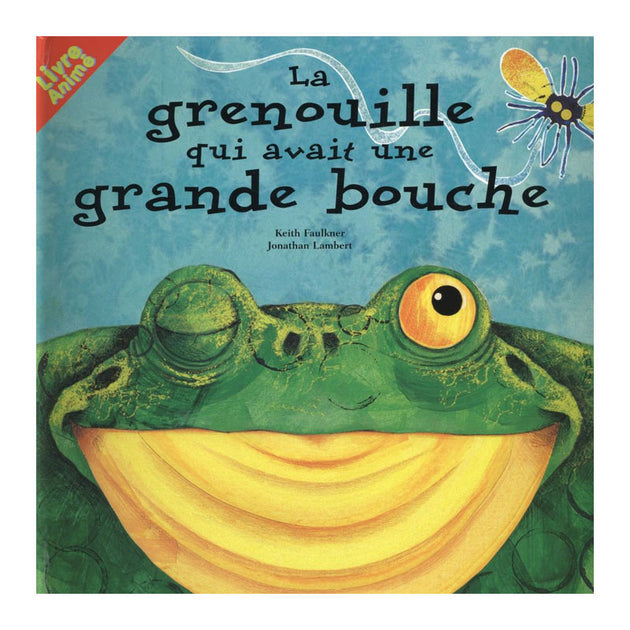 Livre La grenouille qui avait une grande bouche - Casterman – French ...