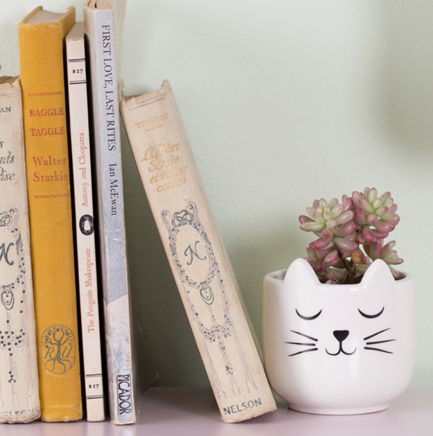 SASS & BELLE Mini cache-pot chat – French Blossom