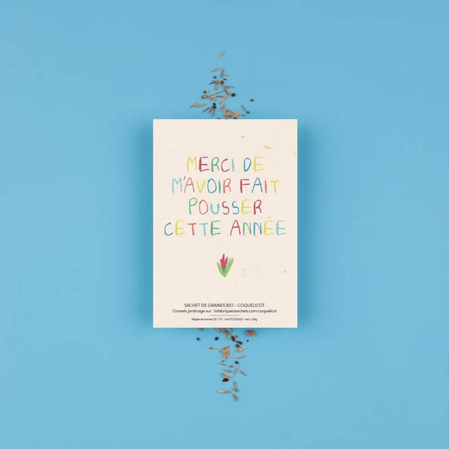 Merci Maîtresse – French Blossom